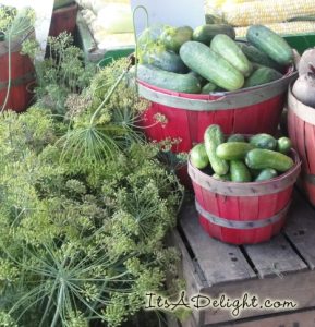 Easy to make Crunchy-Dilly-Sun Pickles ! - It's A Delight