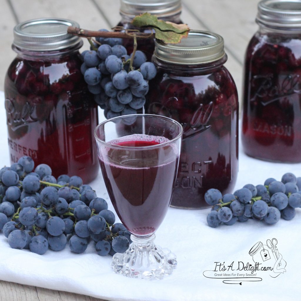 Easy to make Crunchy-Dilly-Sun Pickles ! - It's A Delight!