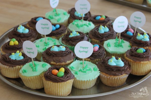 Make these super cute Spring Cupcakes! - It's A Delight