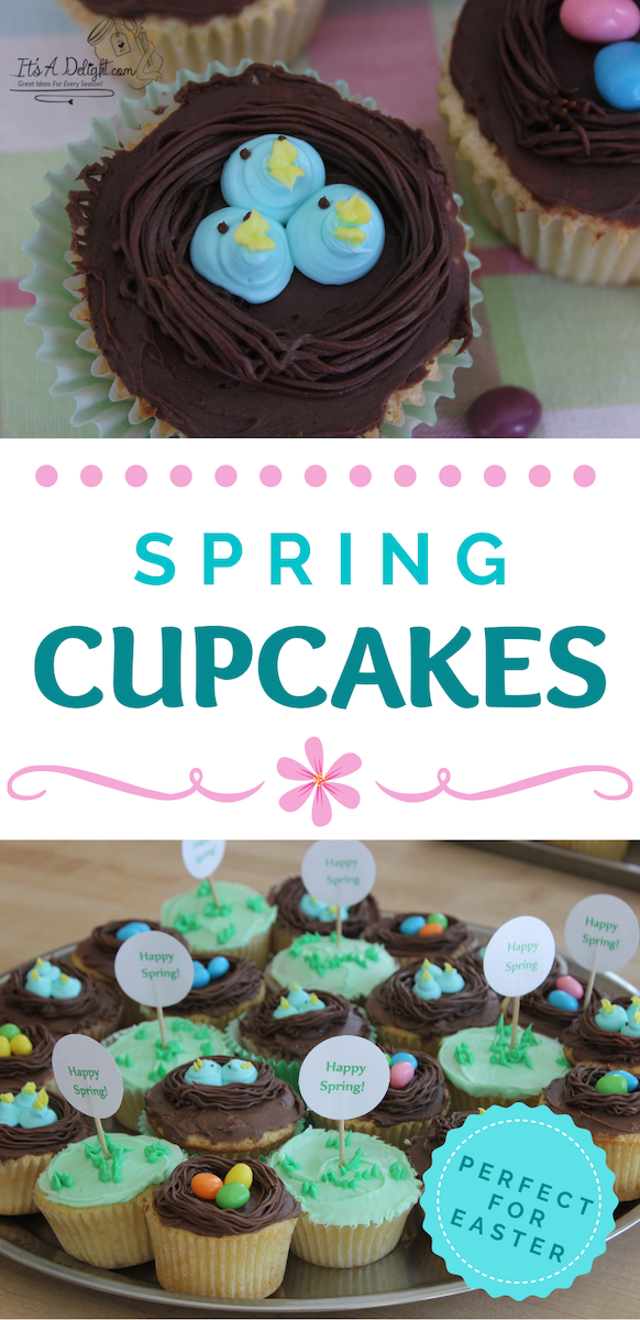 Make these super cute Spring Cupcakes! - It's A Delight