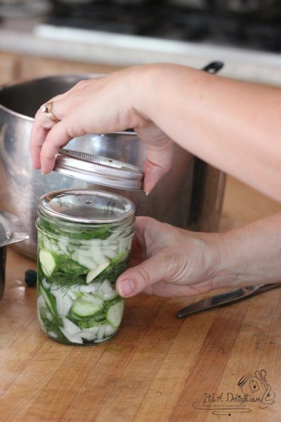 Beautiful Layered Jars of Pickles – Easy No Canning Method! - It's A ...