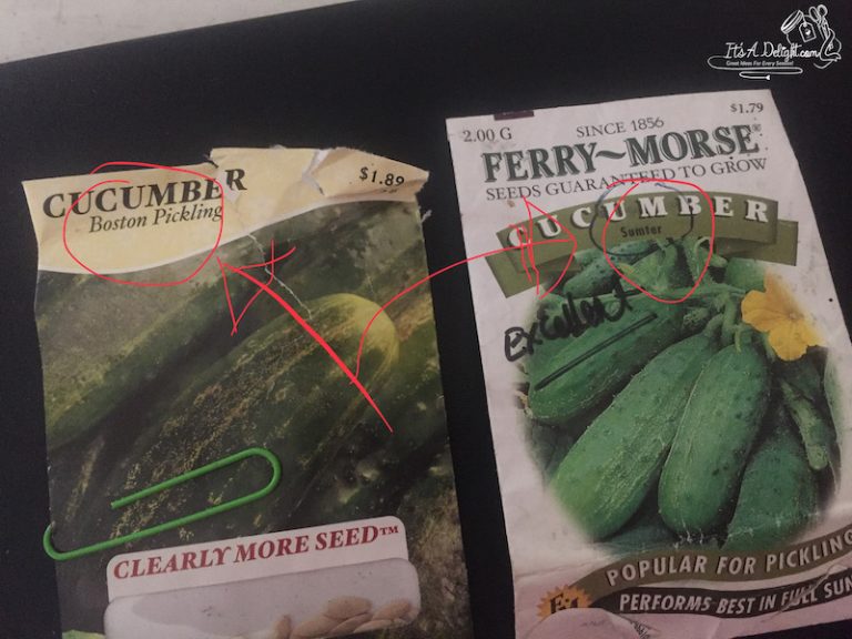 Beautiful Layered Jars of Pickles – Easy No Canning Method! - It's A ...